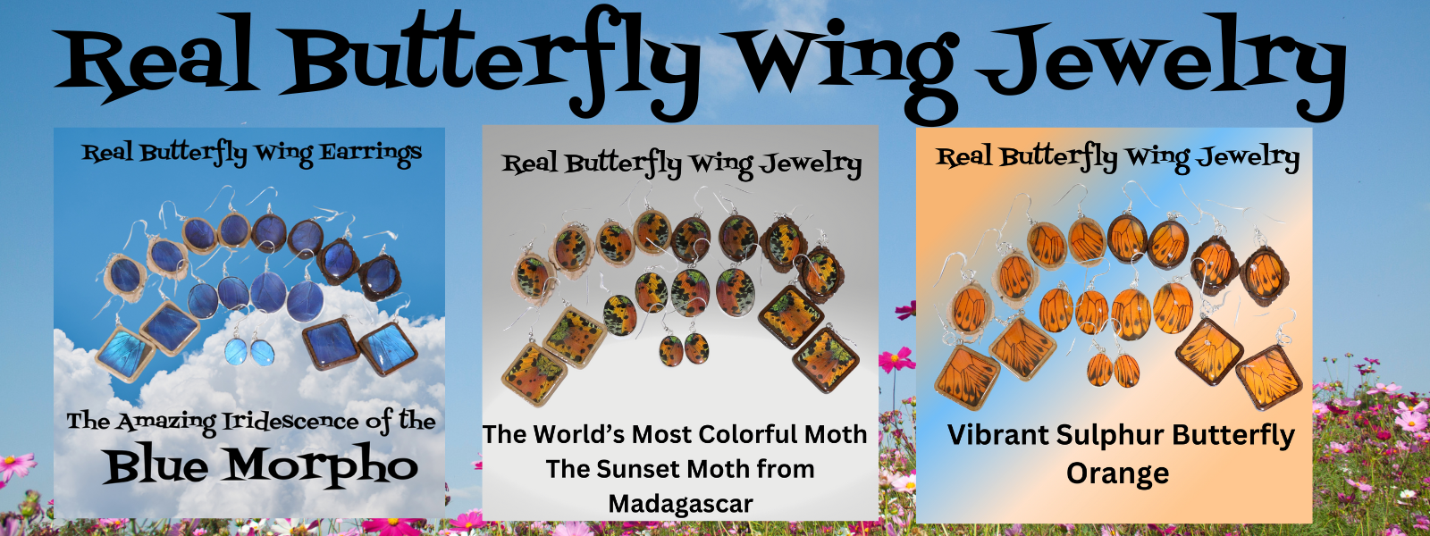 Nature Connection World